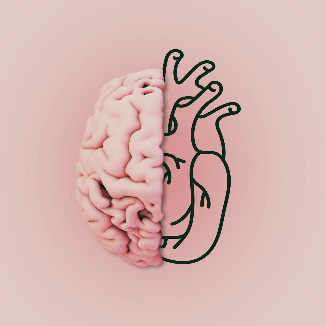 Benefits of Flossing for Your Heart and Brain Health – OJOOK