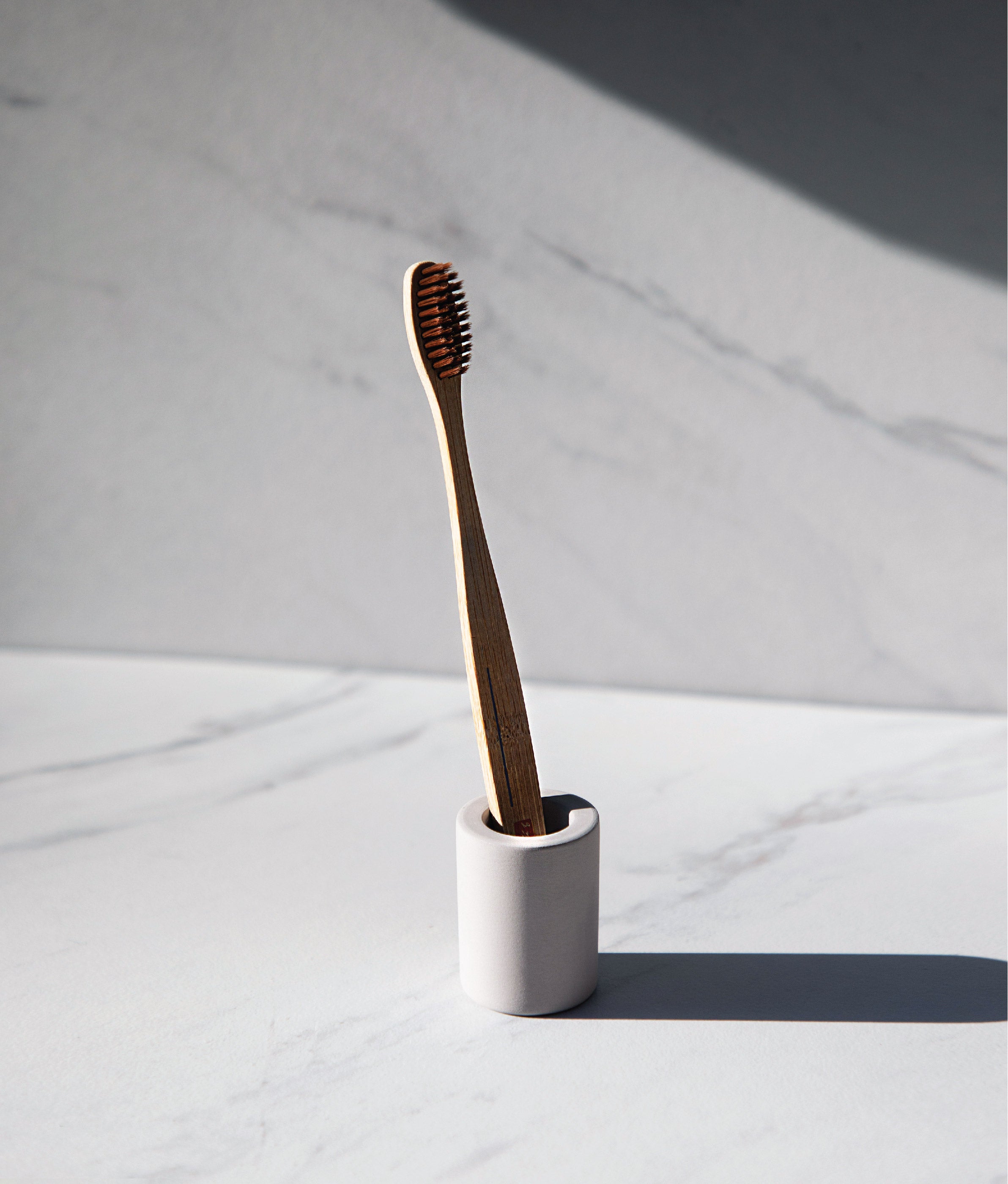 Compostable Diatomite Toothbrush Holder | OJOOK